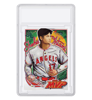 Buy US Stock of Empty Trading Card Slabs for Professional Grading ...